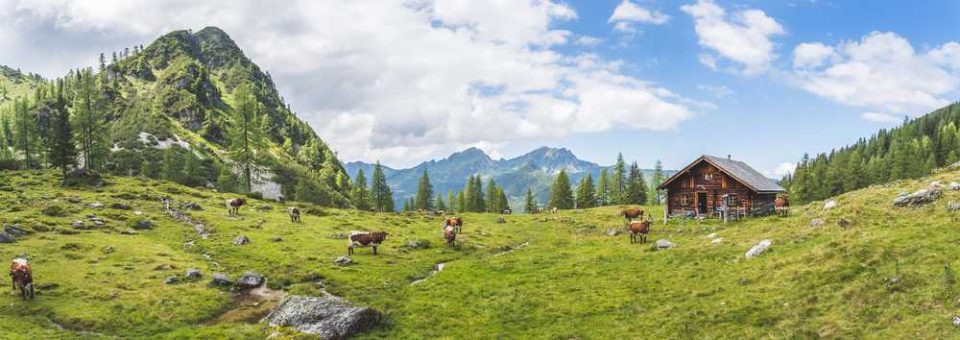 Architecture in the French Alps - The Alpine Chalet
